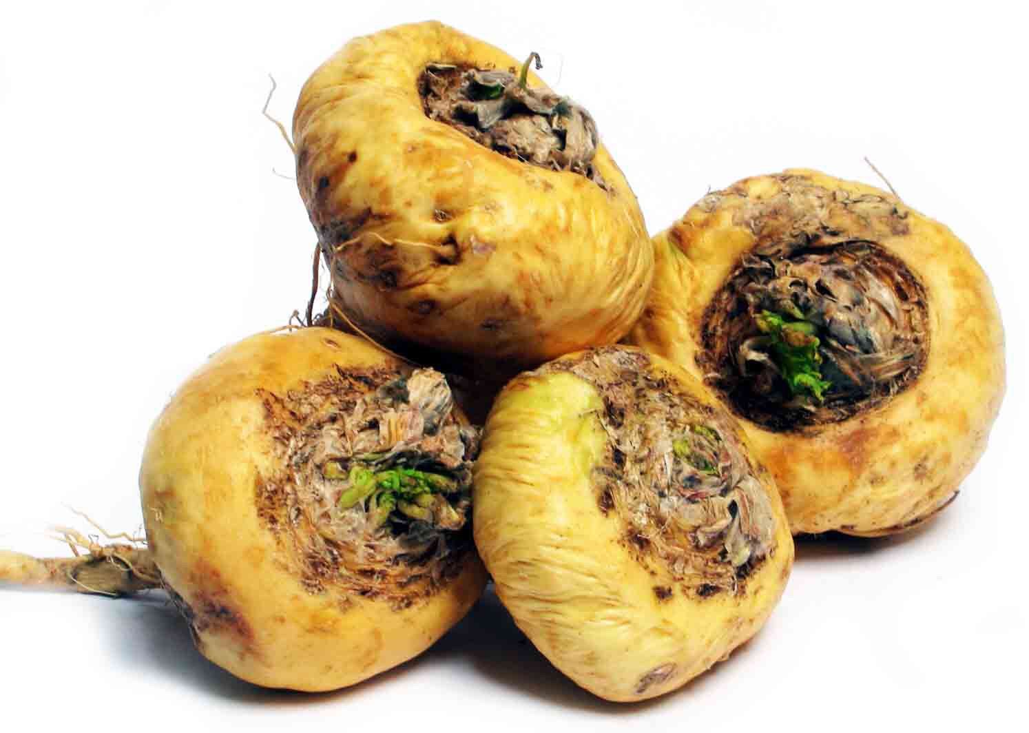 Maca, el tesoro de los Incas - Ecoterapeuta