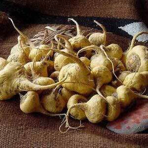 Azufaifo, la fruta de la inmortalidad - Ecoterapeuta